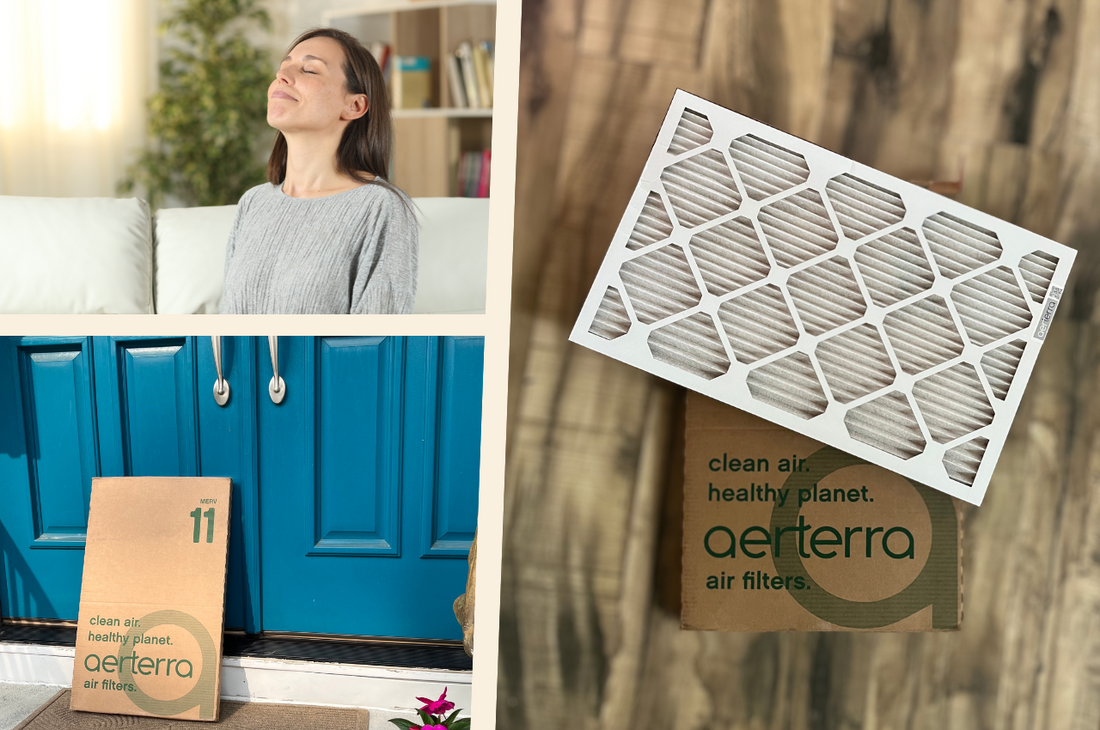 Replaceable Air Filter | Aerterra